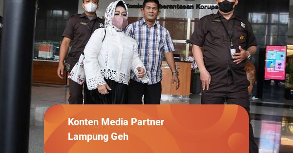 Kadinkes Lampung Reihana Minta Tunda Klarifikasi Laporan Harta Kekayaan Kedua | kumparan.com